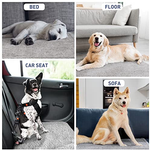 Kritter Planet Waterproof Pet Blanket, Pee Proof Reversible Dog Blanket Cover for Couch Bed, Liquid Proof Furniture Protector for Small Large Dogs Cats