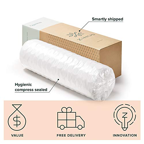 Zinus 10 Inch Tight Top Spring Mattress / Innerspring Mattress / CertiPUR-US Certified / Mattress-in-a-Box, Full