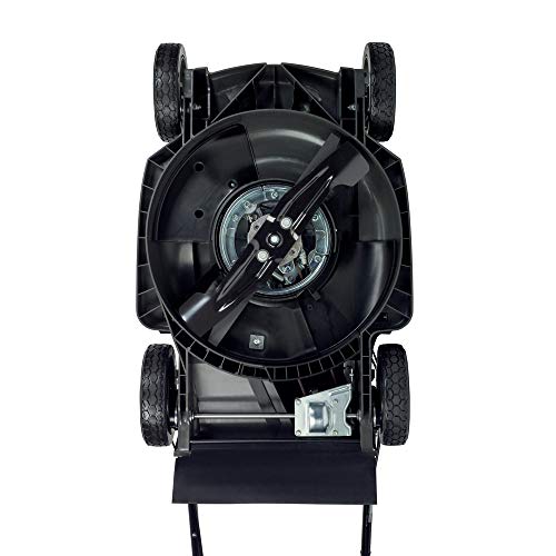 Honda 664140 HRX217HZA GCV200 Versamow System 4-in-1 21 in. Walk Behind Mower with Clip Director, MicroCut Twin Blades, Roto-Stop (BSS) and Electric Start
