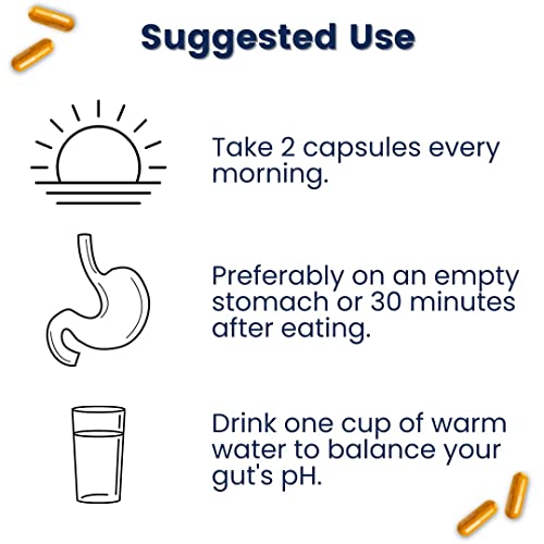 Better Body Co. Original Provitalize | Natural Menopause Probiotics for Weight Gain, Hot Flashes, Night Sweats, Low Energy, Mood Swings, Gut Health. Unique Probiotics Formula