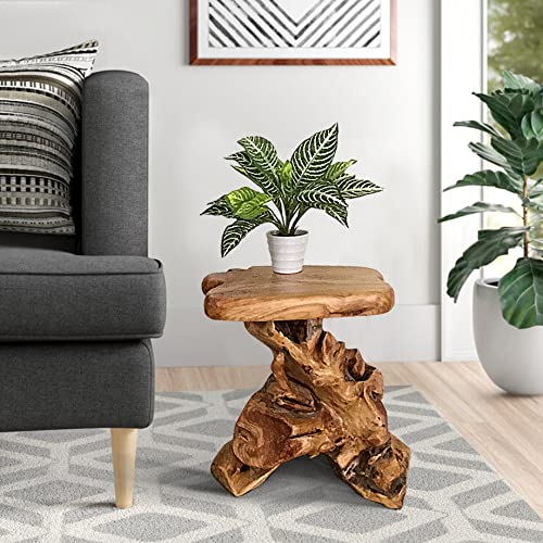 Warmaxx Natural Irregular Shape Tree Stump End Table Plant Stand, 14"x13"x18"H Solid Cedar Wood Outdoor Rustic Sit Foot Stools Live Edge Coffee Side Table for Living Room Bedroom Bath Outdoor Garden