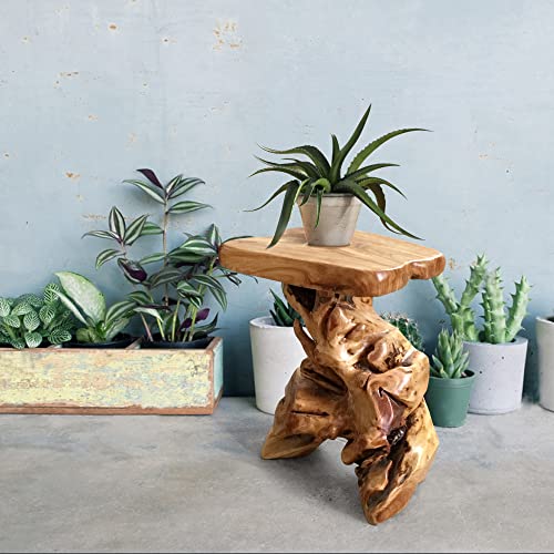 Warmaxx Natural Irregular Shape Tree Stump End Table Plant Stand, 14"x13"x18"H Solid Cedar Wood Outdoor Rustic Sit Foot Stools Live Edge Coffee Side Table for Living Room Bedroom Bath Outdoor Garden