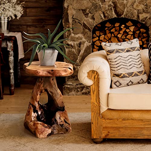 Warmaxx Natural Irregular Shape Tree Stump End Table Plant Stand, 14"x13"x18"H Solid Cedar Wood Outdoor Rustic Sit Foot Stools Live Edge Coffee Side Table for Living Room Bedroom Bath Outdoor Garden