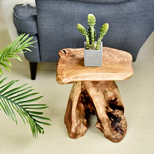 WELLAND Tree Stump Stool Live Edge, Natural Edge Side Table, Plant Stand, Nightstand, Mushroom Stool 14" Tall