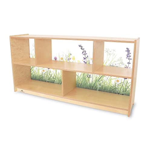 Whitney Brothers 48 in. Acrylic Back Cabinet, Natural Uv