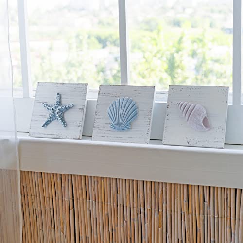 TideAndTales 3D Seashell Art - Set of 3, 6βx6β Beach Wall Decor for Bathroom, Hand-Painted Rustic Shells and Starfish, Ocean Theme Coastal Decorations for Home or Beach House