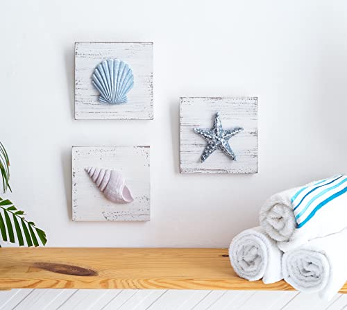 TideAndTales 3D Seashell Art - Set of 3, 6βx6β Beach Wall Decor for Bathroom, Hand-Painted Rustic Shells and Starfish, Ocean Theme Coastal Decorations for Home or Beach House