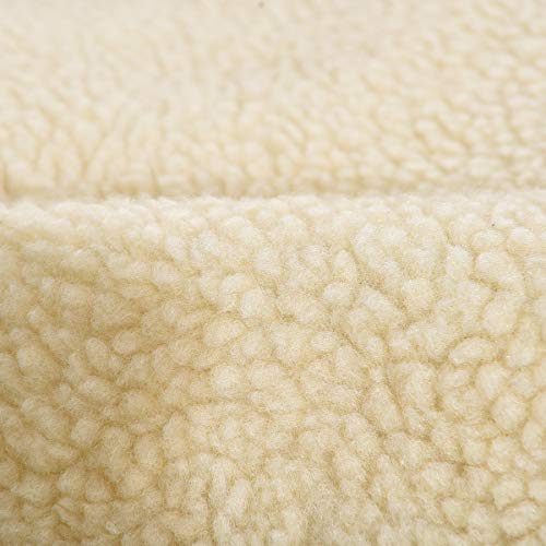 Amazon Basics Cozy Pet Cave Bed, Large 35 x 35 x 13 Inches, Blue