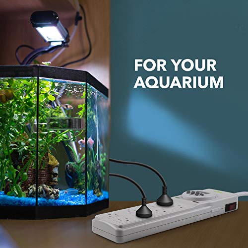 BN-LINK 8 Outlet Surge Protector with 7-Day Digital Timer (4 Outlets Timed, 4 Outlets Always On) - White