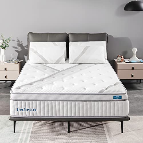 Queen Mattress,Lechepus 14 Inch Hybrid Memory Foam Mattresses with Individual Pocket Springs,Mattress in Box,Plush Comfortable Mattress for Cool Sleep & Back Pain Relief,CertiPUR-US Certified