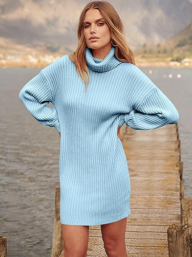 ANRABESS Women Oversized Sweater Dress Turtleneck Batwing Long Sleeve Ribbed Knit Loose 2024 Fall Winter Casual Short Dress A240danlan-M Light Blue