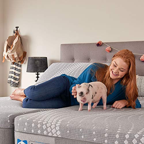 Sealy Gel Foam Posturepedic Hybrid Paterson Medium Feel Mattress, Queen,White