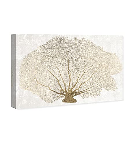 The Oliver Gal Artist Co. Nautical and Coastal Wall Art Canvas Prints Coral Fan' Home Décor, 15" x 10", Gold, White