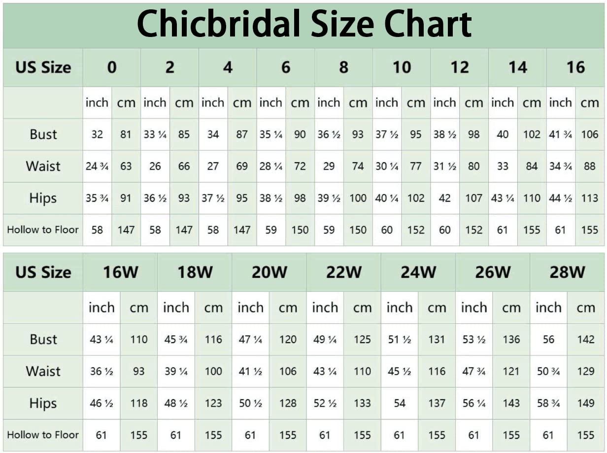 Chicbridal Lace Appliques Ball Gowns Spaghetti Straps Long Tulle A-Line Prom Dresses for Women Wisteria US8