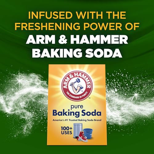 Arm & Hammer Clean Scentsations in-Wash Scent Booster - Clean Meadow 24 Oz