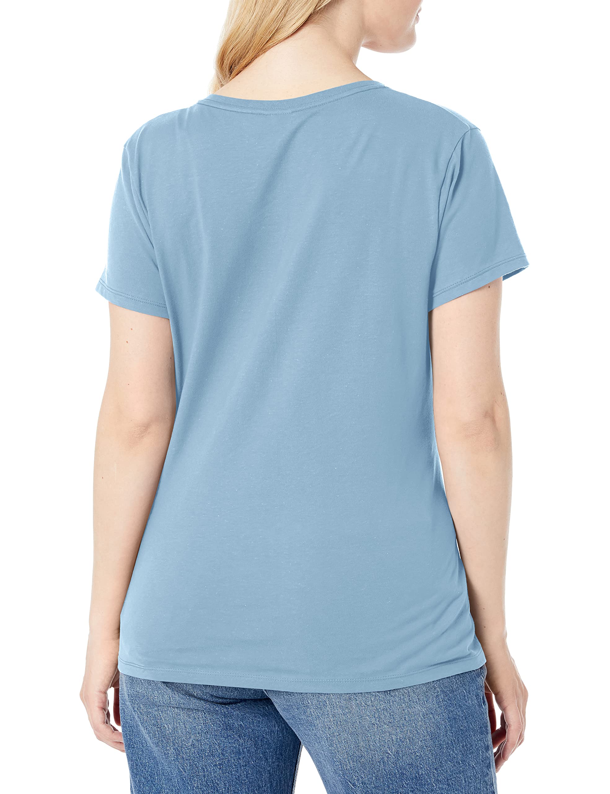 Hanes womens Nano Premium Cotton V-neck Tee fashion t shirts, Light Blue, Large US