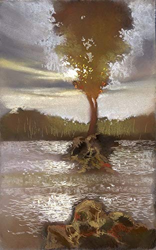 Posterazzi PDXRC100326SMALL Ripple Effect II Ricci Poster Print, 14 x 24, Multicolor
