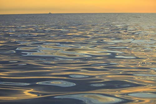 Posterazzi PDDUS12SWR0549LARGE Reflections and Ripples on Ocean Water, Hulopo'e Bay, Lanai, Hawaii Photo Print, 24 x 36, Multi