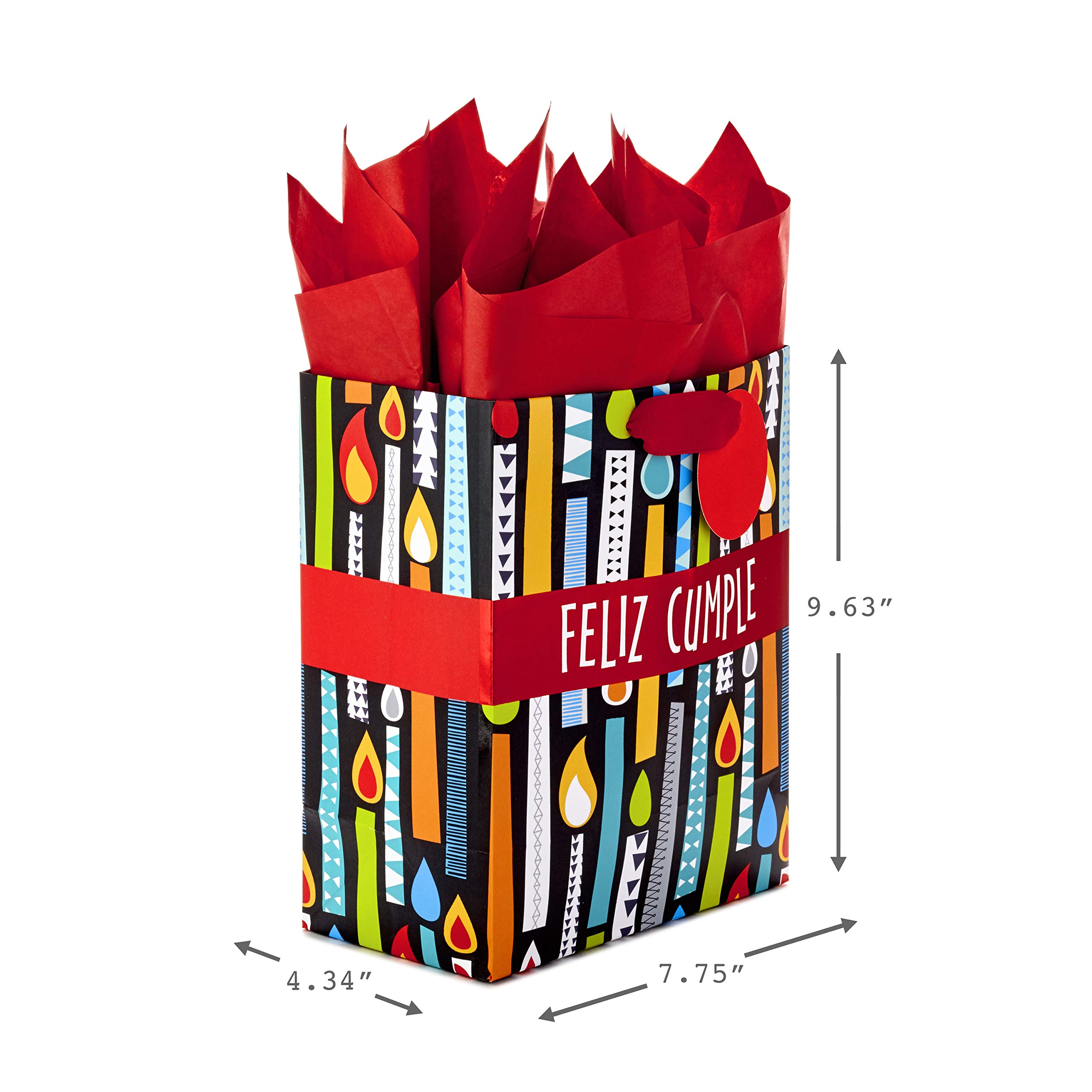 Hallmark VIDA 9" Medium Spanish Gift Bag with Tissue Paper for Birthday (Feliz Cumple)