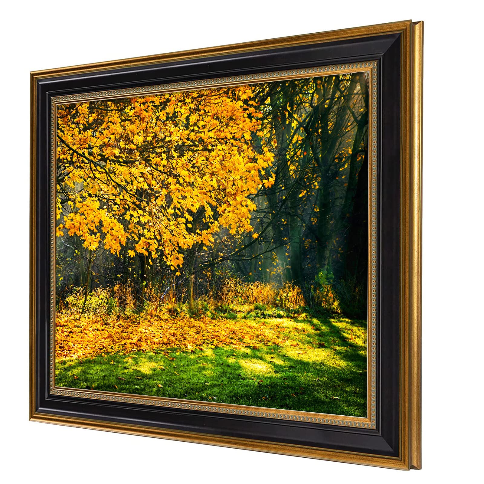 Space Art Deco, 16x20 Picture Frame without Mat for 16x20 Poster/Photo/Print, Shatter-Resistant Real Glass Wall Mounting Display (Black and Ornate Gold Design, 1-Pack)