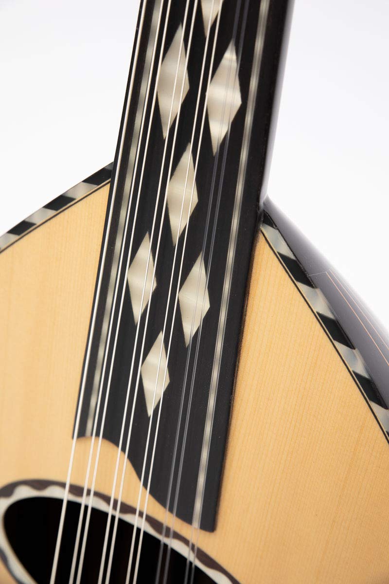Egyptian Oud Classic Black Stringed Instrument Aoud Ud with Soft Case and Picks