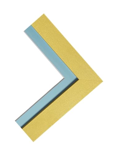 FRAMES BY POST METROGOLDWITHBLUMT5040CM1612 Frame, 50 x 40 cm Image Size 16 x 12 Inch Plastic Glass, Gold Blue Mount