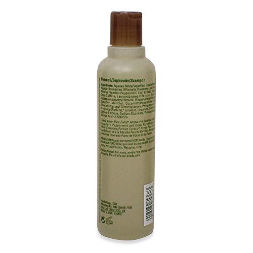 Shampoo Shampoo - Rosemary Mint Shampoo - 8.5 fl. 8.50 Ounce rosemary mint 8.5 Fl Oz