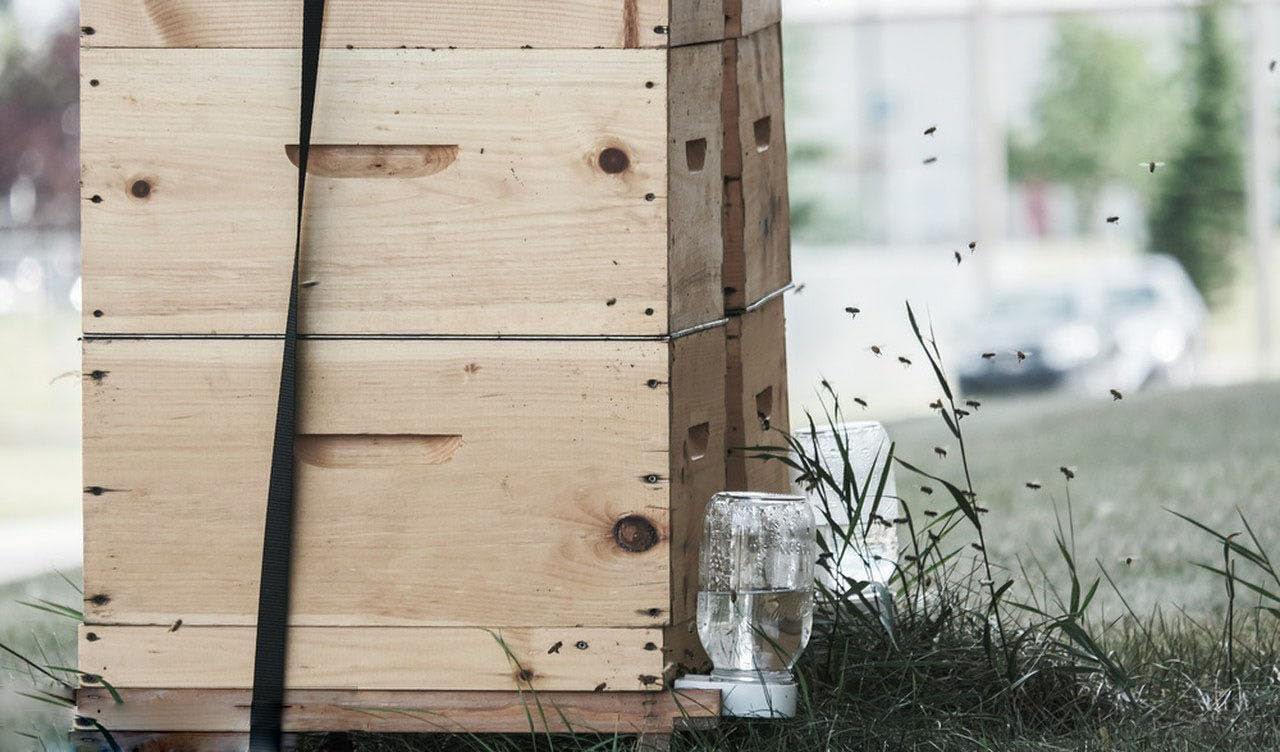 NIZEFEI 4PC Bee Hive Feeder White Beehive Entrance Feeder with Lid Bee Sugar Water Feeder of Beekeeping Supplies