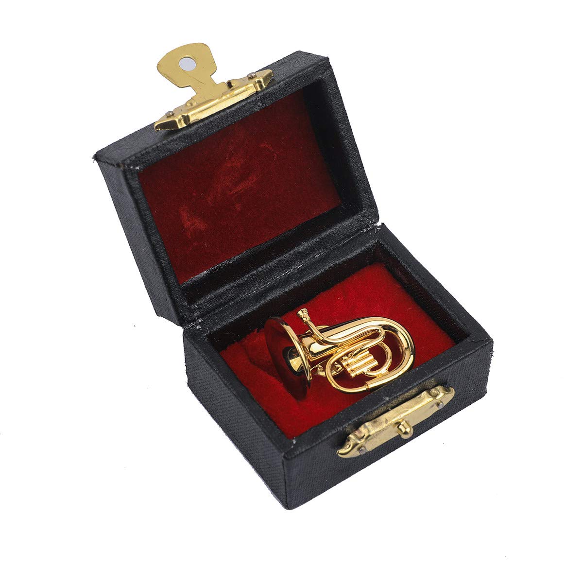 Dselvgvu Miniature 0.98" Tuba Pin Gold Plated Mini Musical Instrument Brooch Brass Fashion Lapel Pin with Red Velvet Lined Instrument Case for Men and Women (0.98" Tuba Pin)
