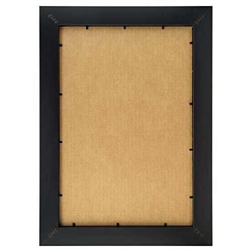 Craig Frames 232477781620N 1-Inch Wide Picture/Poster Frame in Smooth Wood Grain Finish, 16 by 20-Inch, Brazilian Walnut
