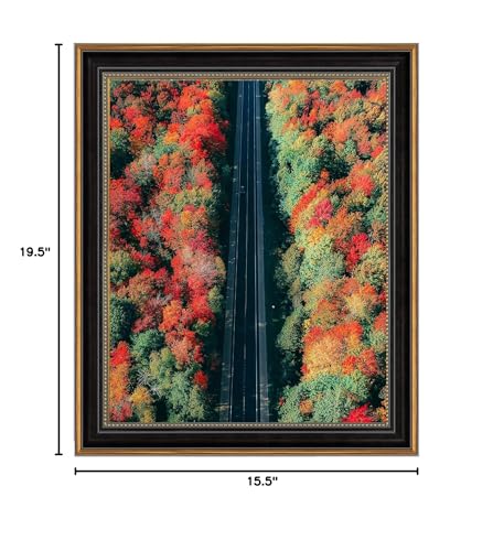 Space Art Deco, 16x20 Ornate Picture Frame Without Mat for 16x20 Photo,Shatter-Resistant Glass Sawtooth Hangers Wall Mount Display(Color Black/Ornate Gold)