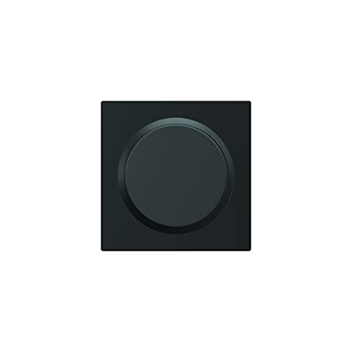 SCHLAGE F10 BWE 622 COL Bowery Knob with Collins Trim Hall & Closet Passage Door Lock, Matte Black
