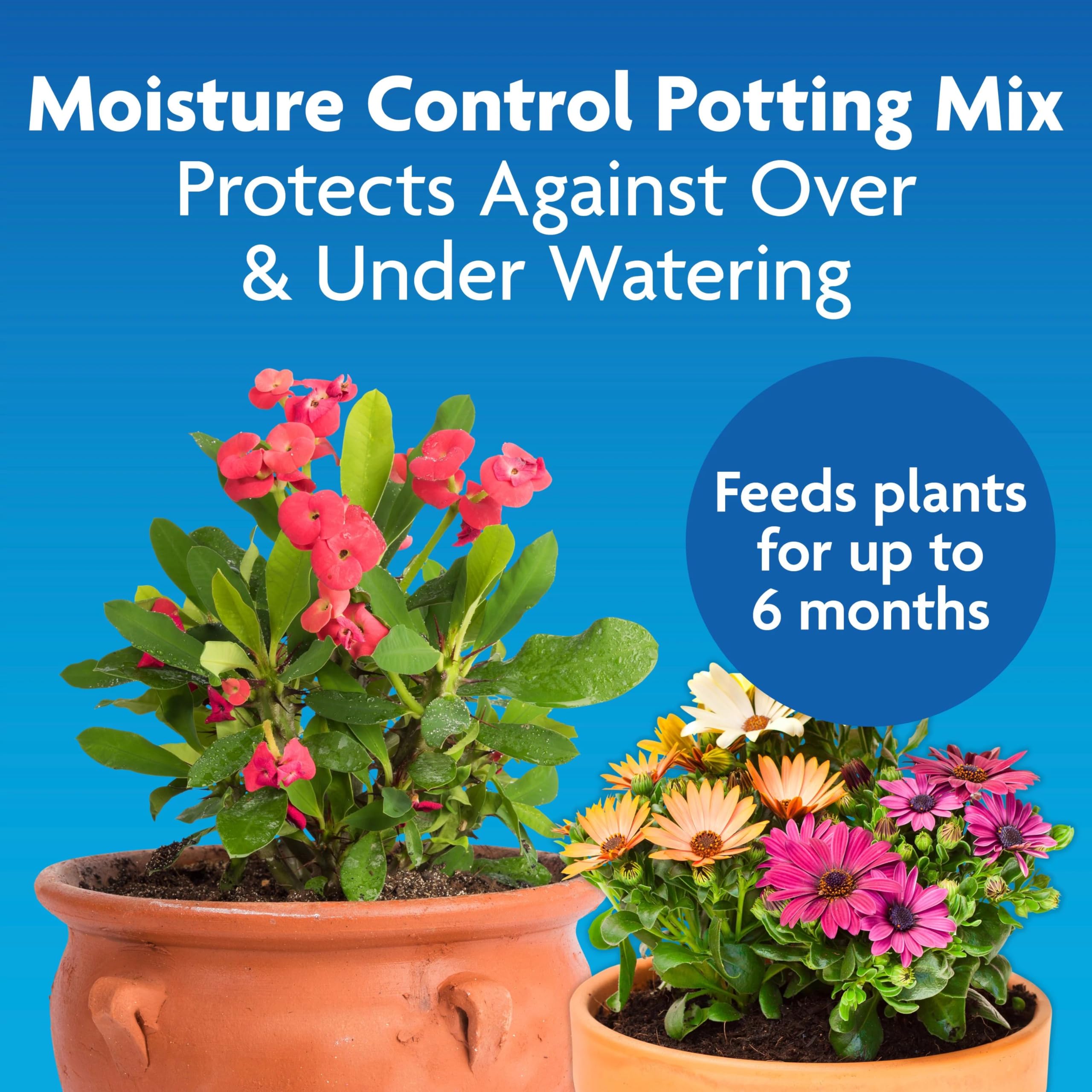 Miracle-Gro Moisture Control Potting Mix - Soil for Indoor & Outdoor Containers, Added Fertilizer Feeds Up to 6 Months, 8 qt.