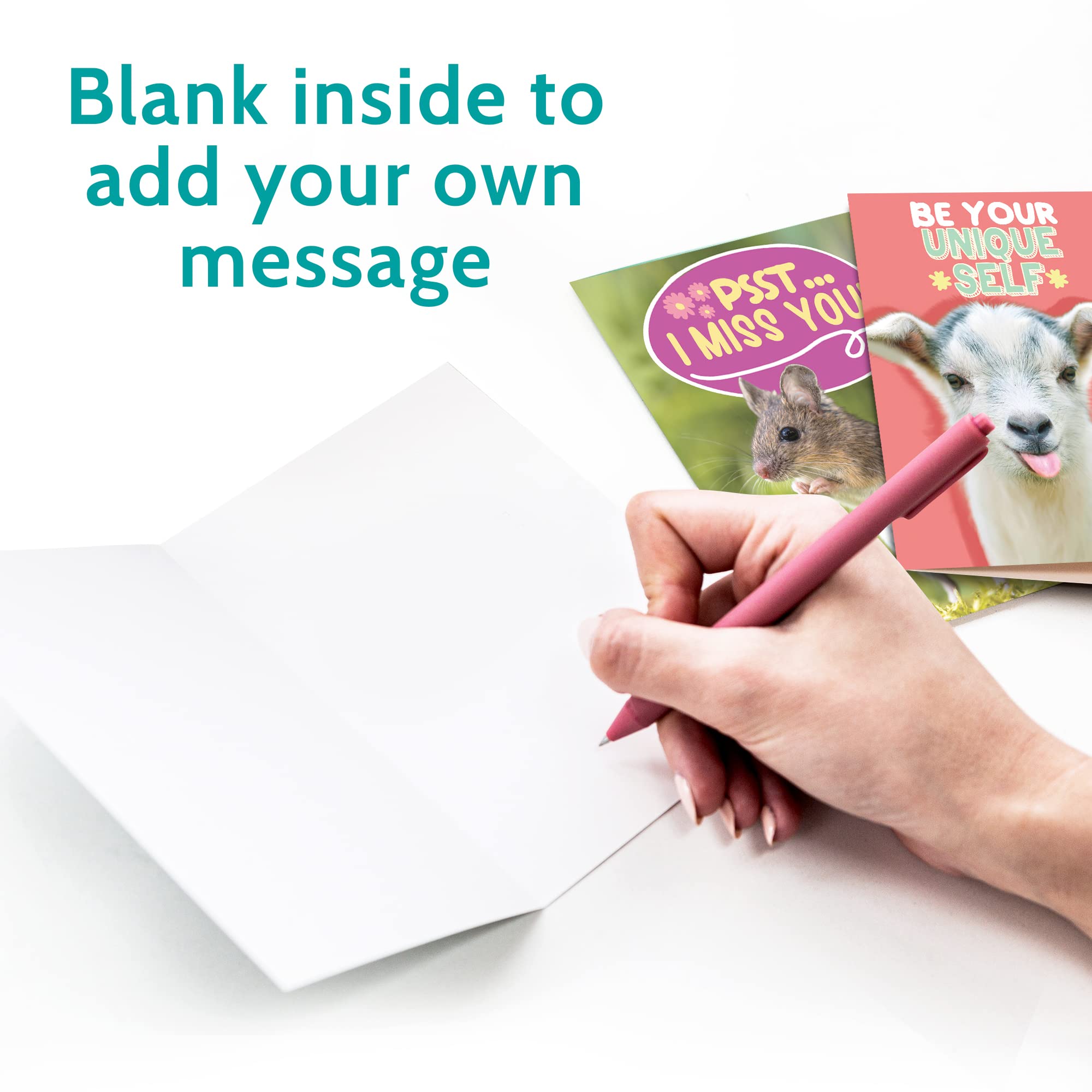 24 Funny Greeting Cards Set with Envelopes - 24 Unique Designs with No Repeats - Cute 4.5” x 6.25” Blank Boxed Animal Note Cards Pack to Say Thinking of You, Hello, Thank You or I Miss You - For Friends, Kids, Teacher and More