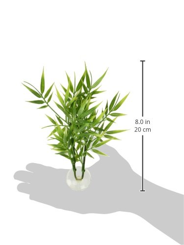Zoo Med Laboratories AZMBP22 Betta Plant Bamboo