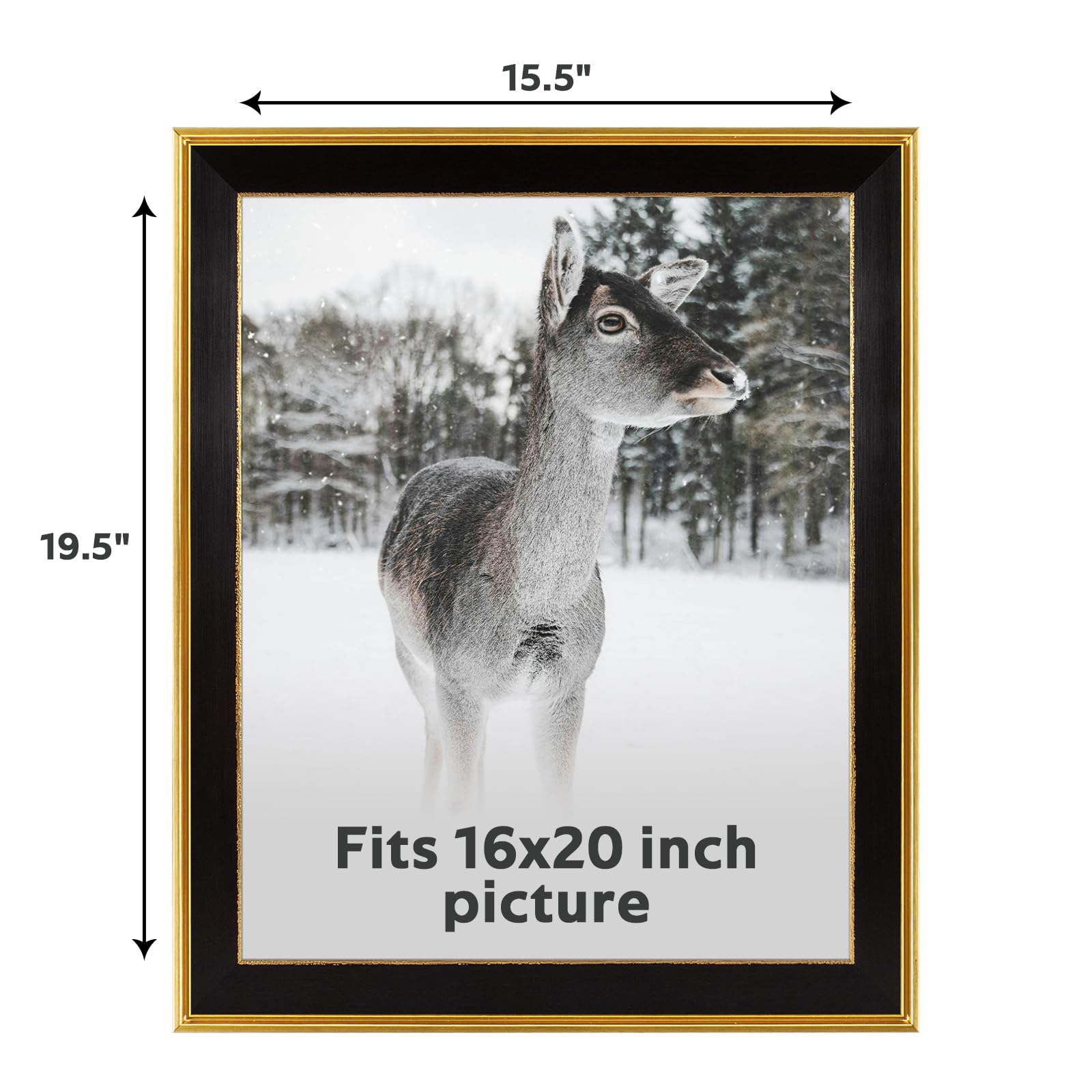AUEAR,16x20 Picture Frame for 16x20 Photo Without Mat,Vintage Style,Wall Mounting (Black and Classic Gold)