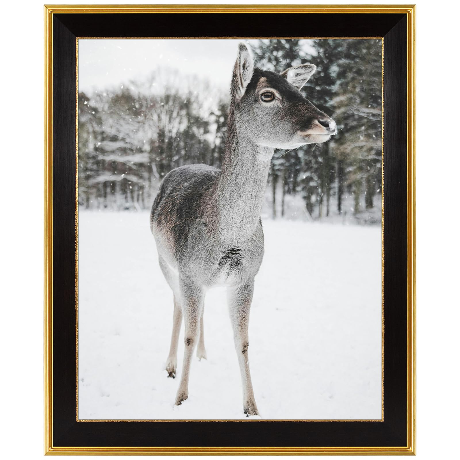 AUEAR,16x20 Picture Frame for 16x20 Photo Without Mat,Vintage Style,Wall Mounting (Black and Classic Gold)