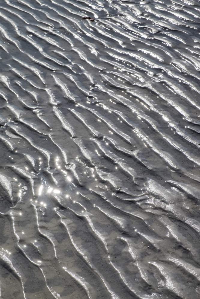 Posterazzi PDDUS10LEN1051LARGE Ripples in The Sand, Beach at Honeymoon Island State Park, Dunedin, Florida, USA Photo Print, 24 x 36, Multi