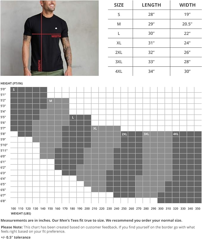 INTO THE AM Premium Men's Fitted Crew Neck Plain Essential Tees 3-Pack - Modern Fit Fresh Classic Short Sleeve T-Shirts for Men (Black/Navy/Olive Green, Medium)
