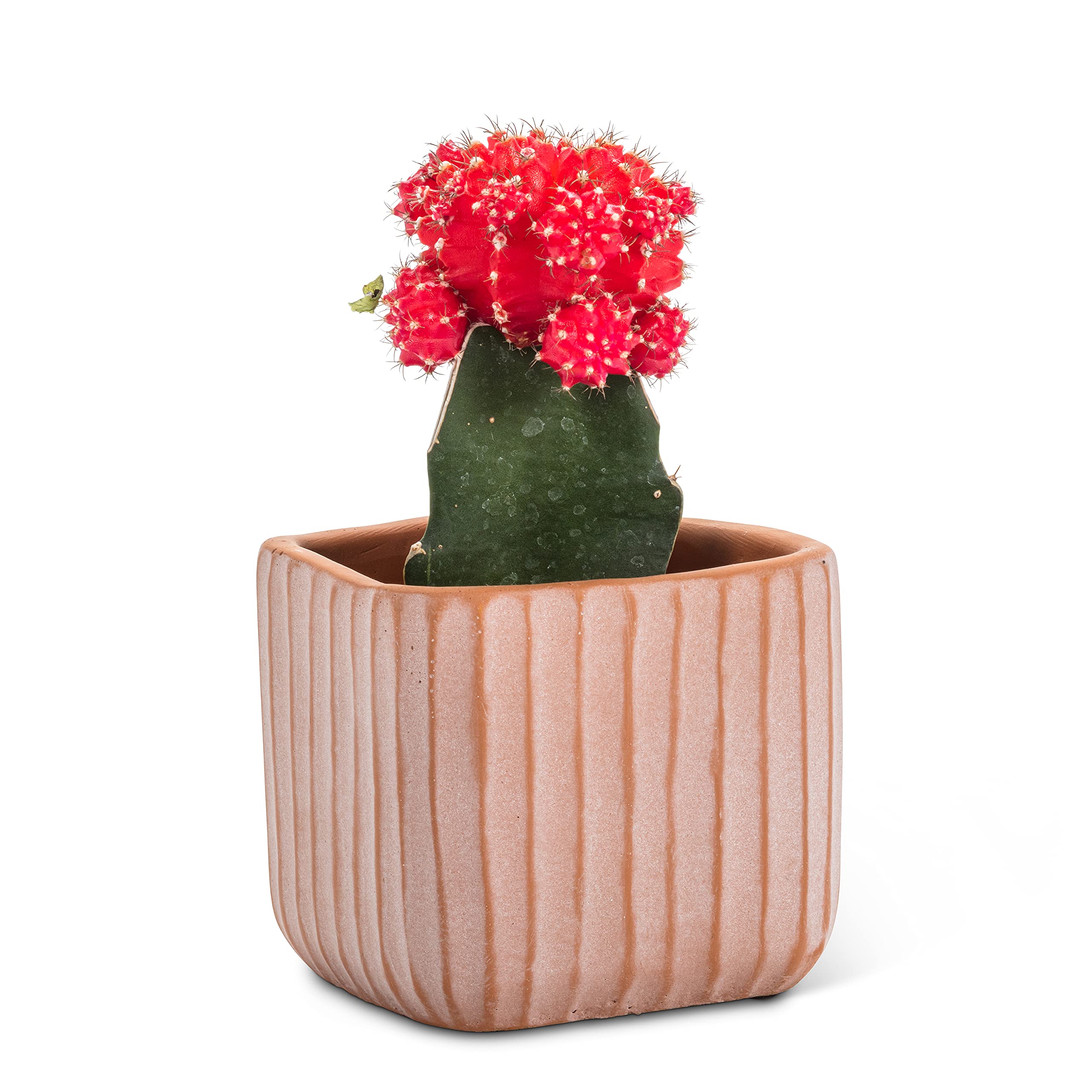Abbott Collection 27-Ripple-SM-ORG Small Ridge Planter, Orange