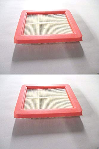 2 Pack Genuine Honda 17211-Z8B-901 Air Filter Fits GCV160LAO GCV190LA HRR216K9