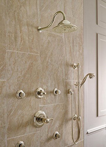 Delta Faucet Cassidy 17T Series Dual-Function Shower Trim Kit with Single-Spray Touch-Clean Shower Head, Polished Nickel T17T297-PN (Valve Not Included)