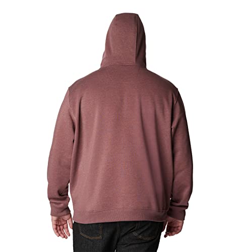 Columbia Men's CSC Basic Logo II Hoodie, Light Raisin Heather/Ripples Graphic, XX-Large