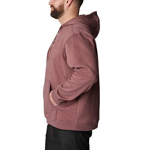 Columbia Men's CSC Basic Logo II Hoodie, Light Raisin Heather/Ripples Graphic, XX-Large