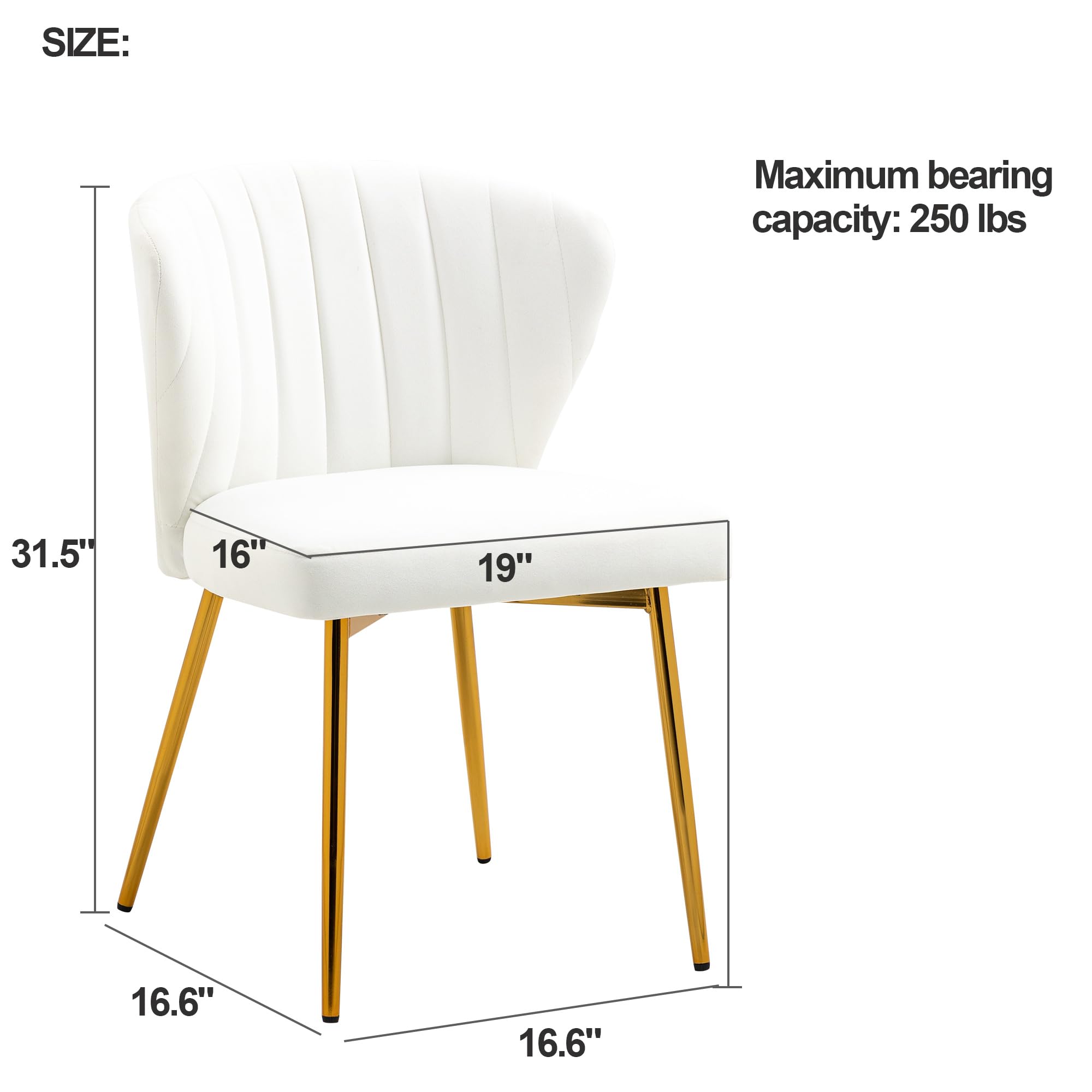 KASUE Velvet Dining Chairs Set of 4 – Golden Metal Legs & Tufted Upholstery - Modern Dining Chairs for Your Dining Room, Kitchen, Vanity.White
