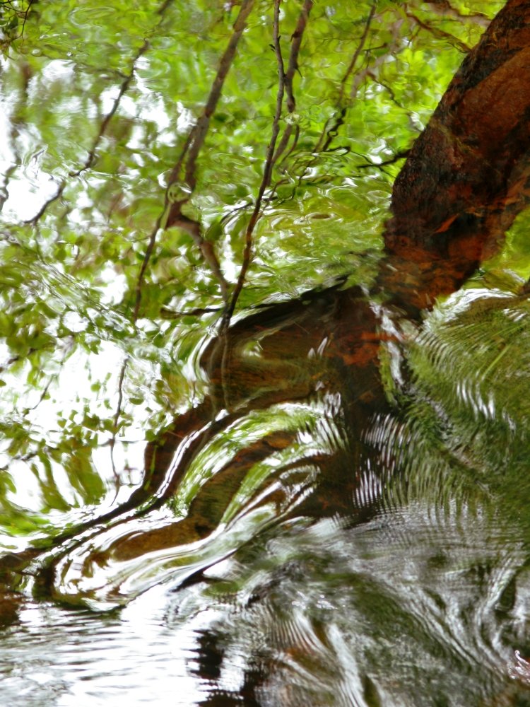 Posterazzi Abstract 23 Massachusetts Seekonk Caratunk Wildlife Refuge Ripples And Reflections On Water Surface. Poster Print, (24 x 32)
