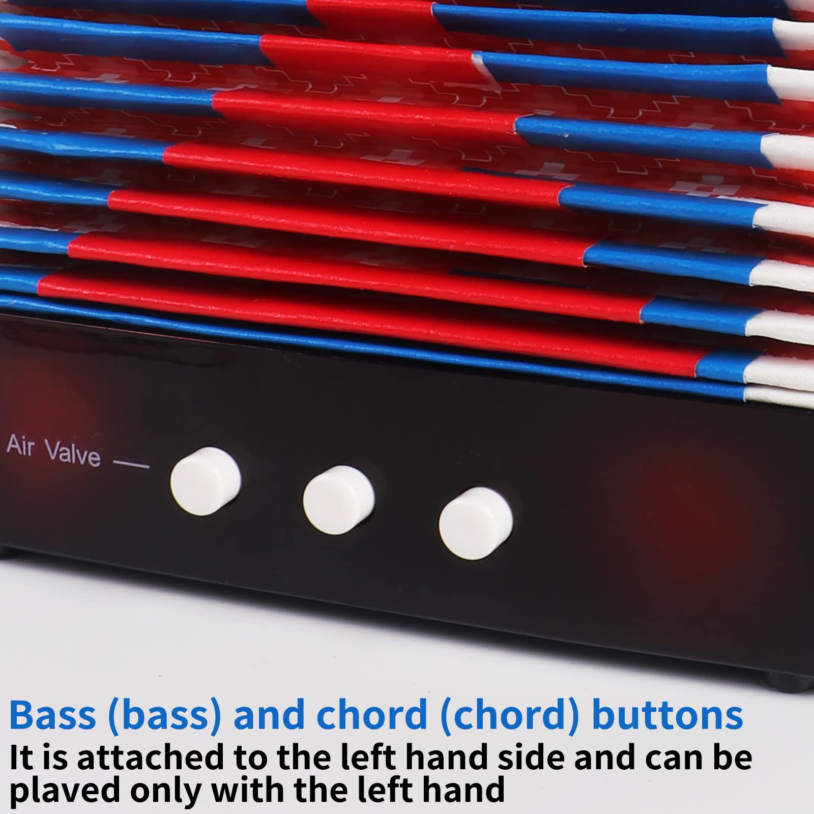 Kids Accordion, Horse 10 Keys Control Kids Accordion Musical Instruments for Kids Children Beginners Lightweight and Environmentally-friendly (Black)