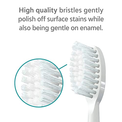 TAO Clean Sonic Electric Toothbrush Replacement Heads (3-Pack) β Replacement Heads for the TAO Clean Electric Toothbrush and Docking Station, White