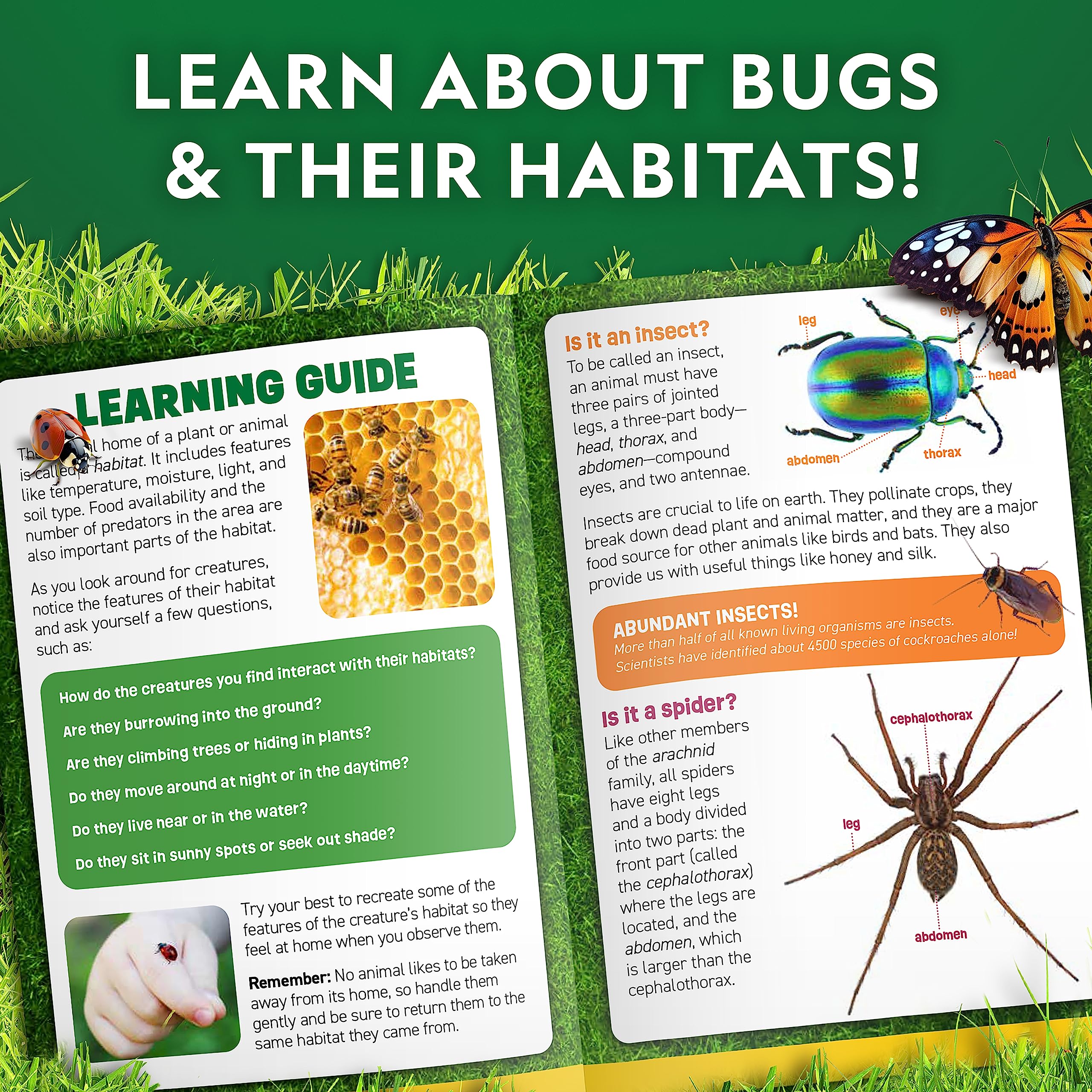 NATIONAL GEOGRAPHIC Bug Catcher Kit for Kids - Kids Bug Habitat with Magnified Viewer, Bug Catcher, Tweezers & Learning Guide, Insect Habitat, Outdoor Toys, Kids Bug Catching Kit, Bug Cage, Bug Box