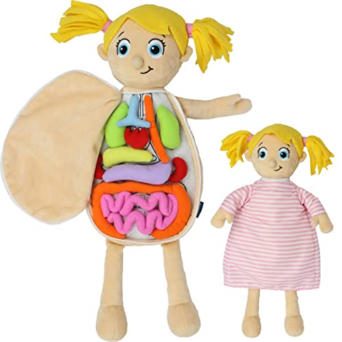 weilishun Human Body Anatomy Toy for Kids -Soft Plush Anatomy Doll, DIY Human Body Model Awareness Teaching Tools & Preschool Science Learning Toy(Pink)